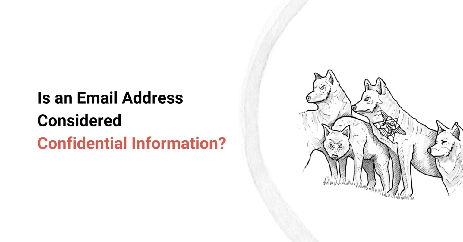 Is an Email Address Considered Confidential Information?