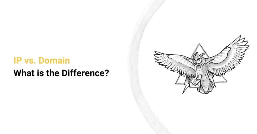 IP vs. Domain—What is the Difference?